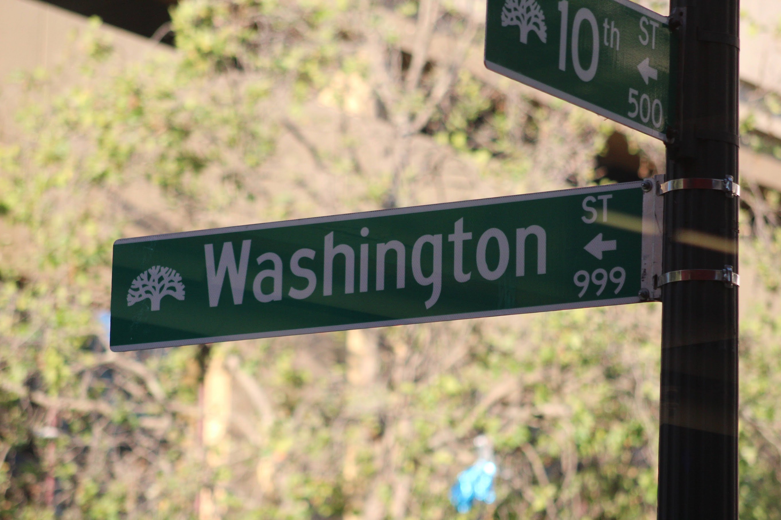 The Museum of Art and Digital Entertainment